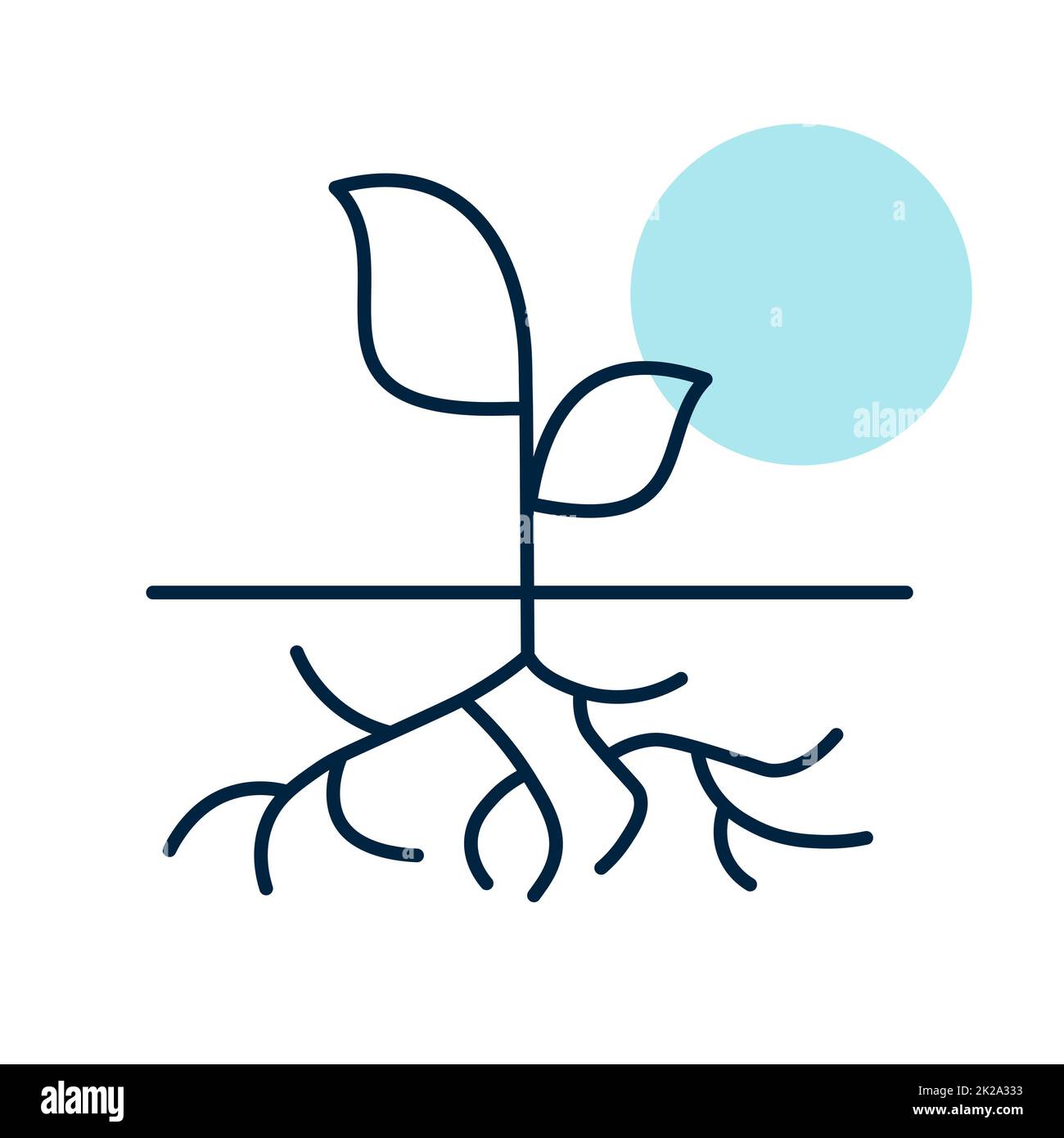 Young green plant with strong roots visible icon Stock Photo - Alamy