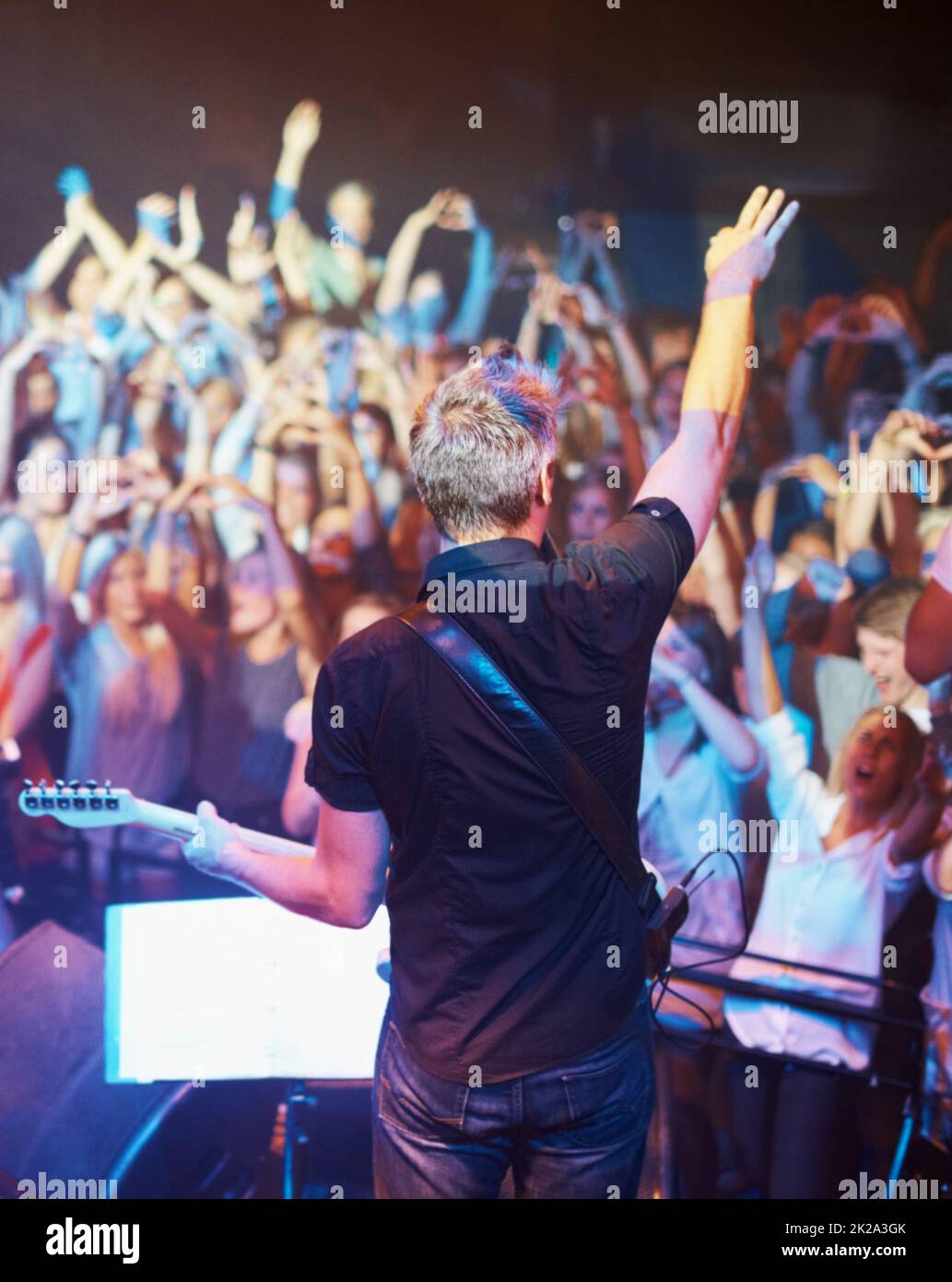 View Of Concert Crowd From Stage