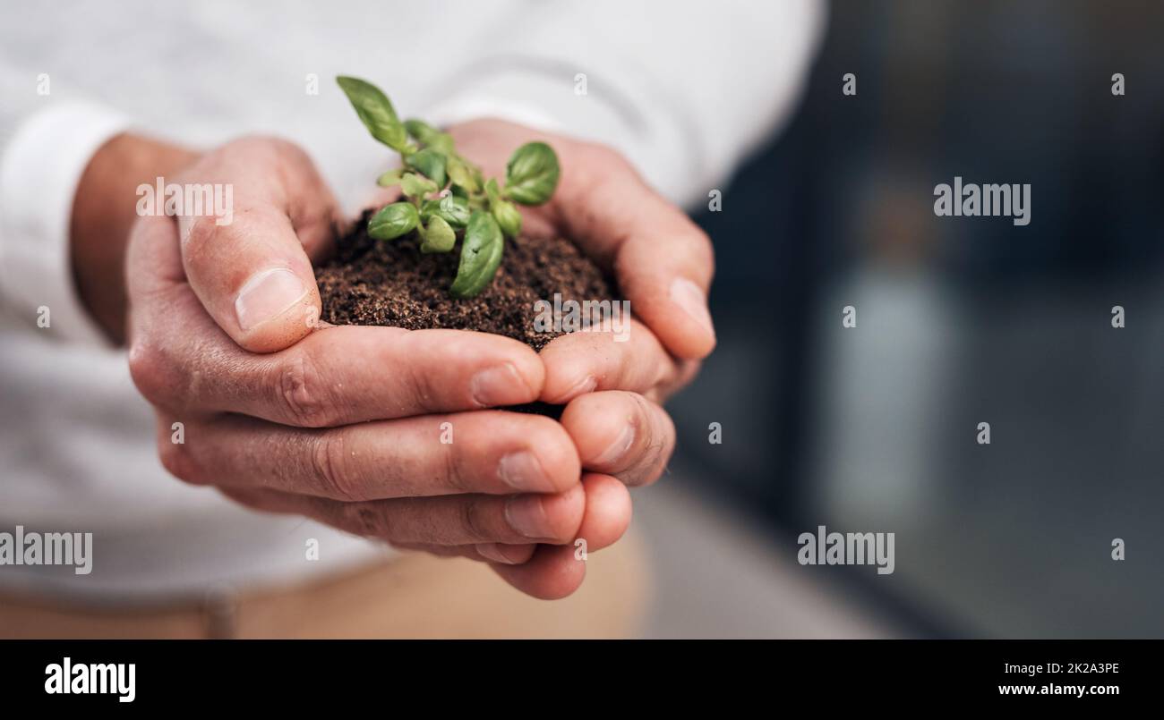 Small efforts lead to big success. Cropped shot of a businessman ...