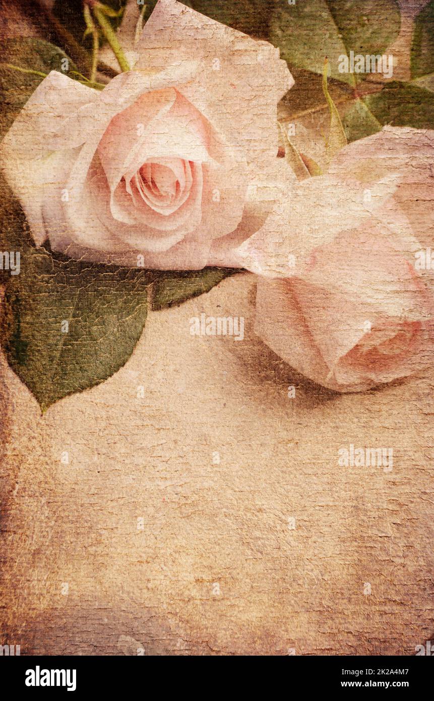 Antique roses painting hi-res stock photography and images - Alamy