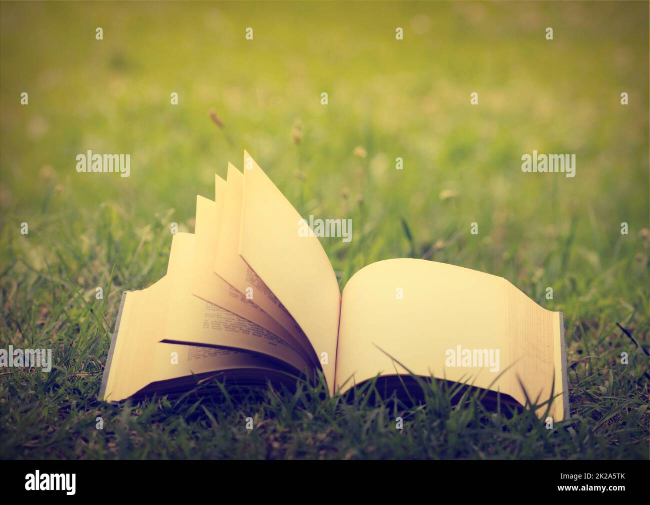 Academic book open hi-res stock photography and images - Alamy