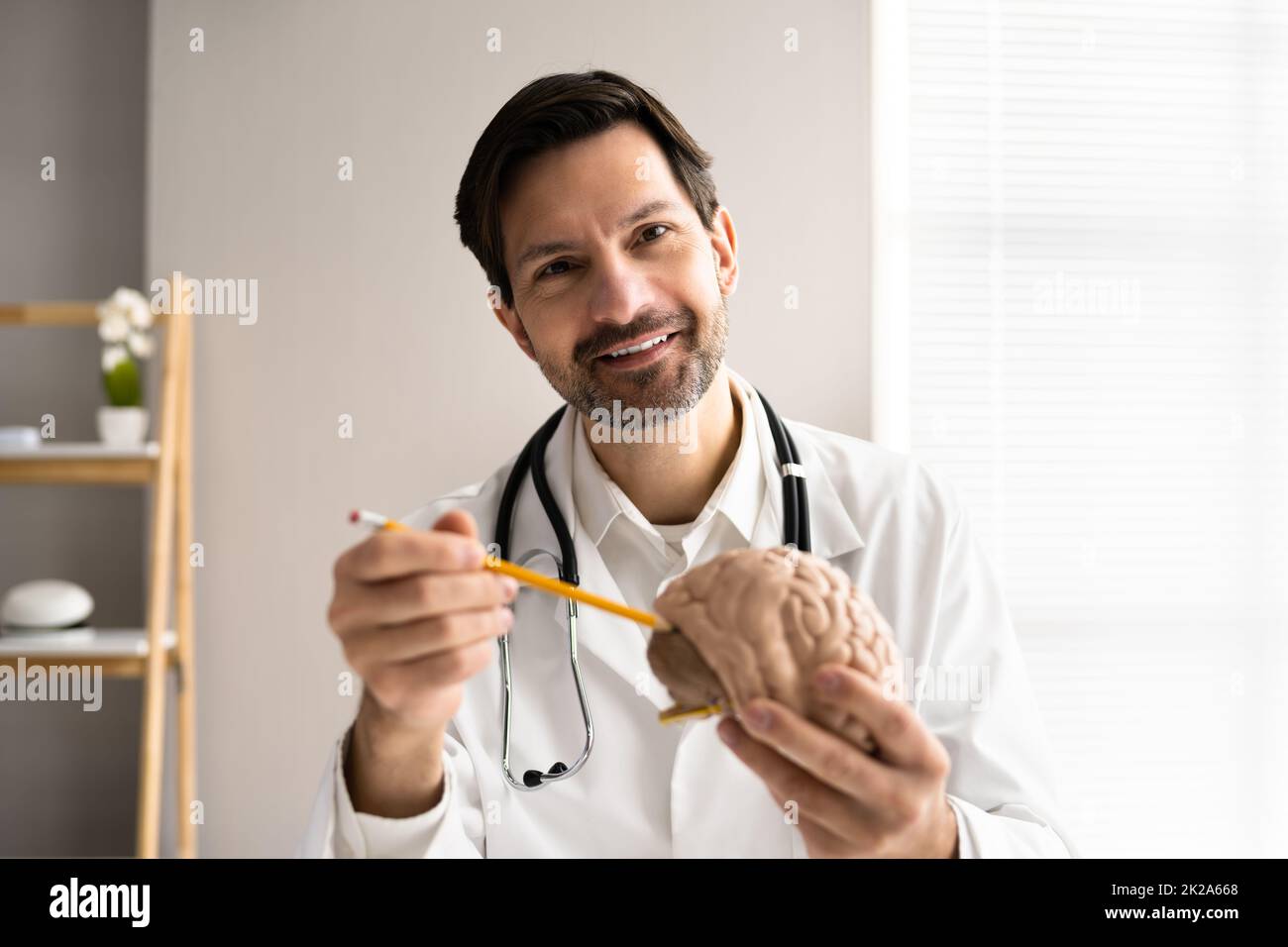 Brain Surgeon Or Neurologist Doctor Explaining Stock Photo - Alamy
