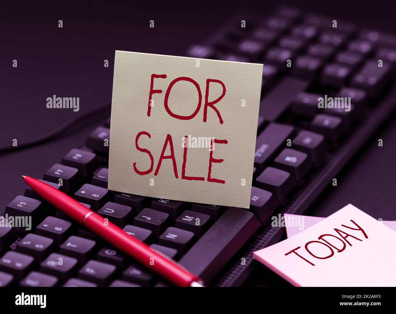 Text sign showing For Sale. Business concept putting property house ...