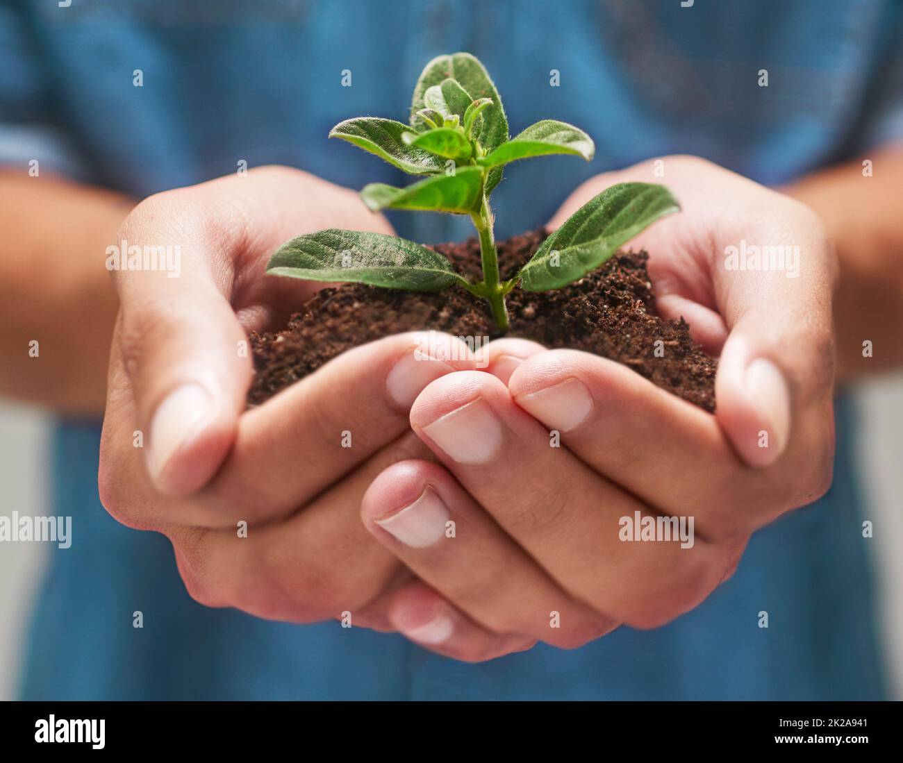Nurturing space hi-res stock photography and images - Alamy