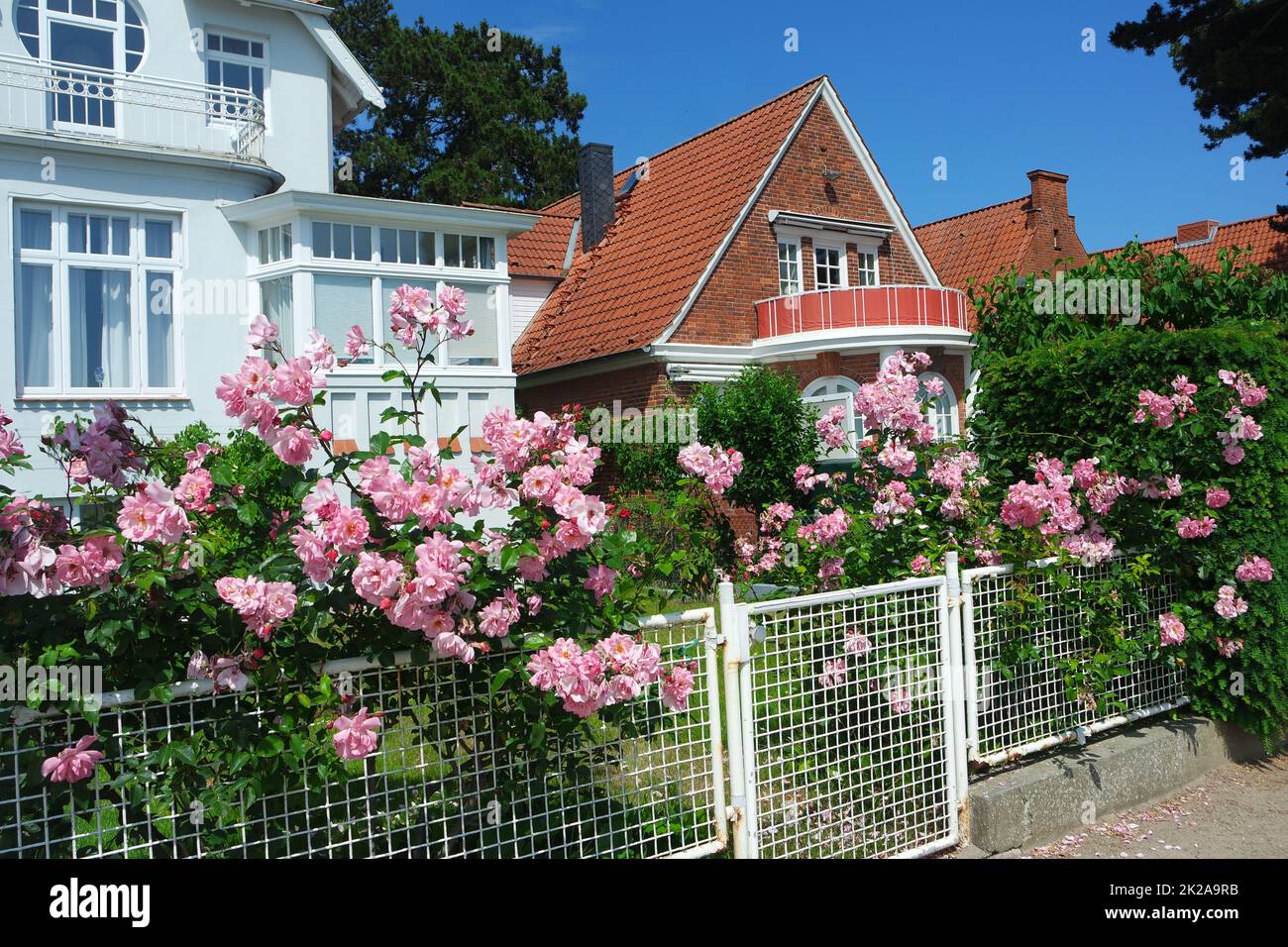 Summer idyll with villas and roses Stock Photo - Alamy