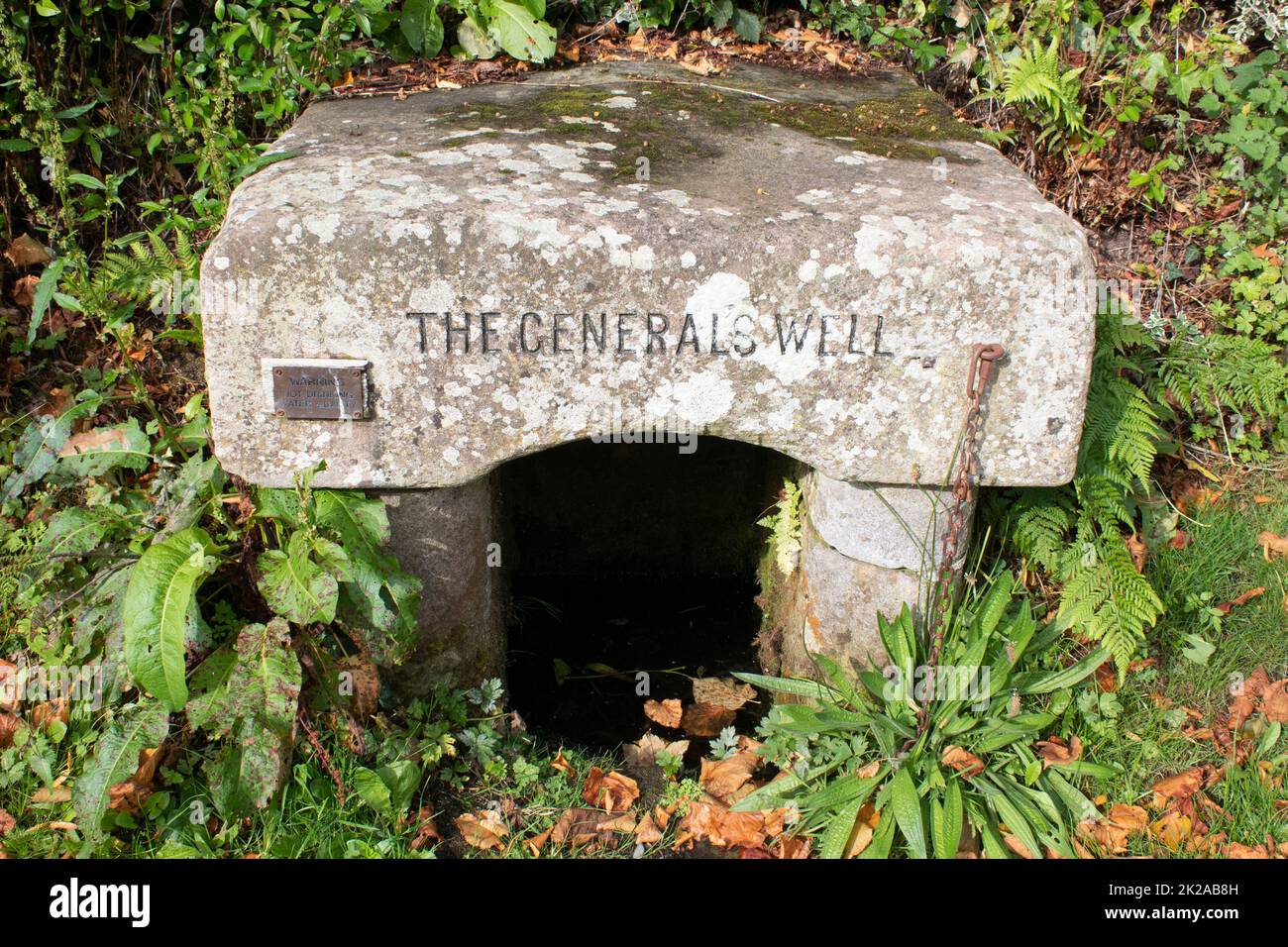Well ness hi-res stock photography and images - Alamy