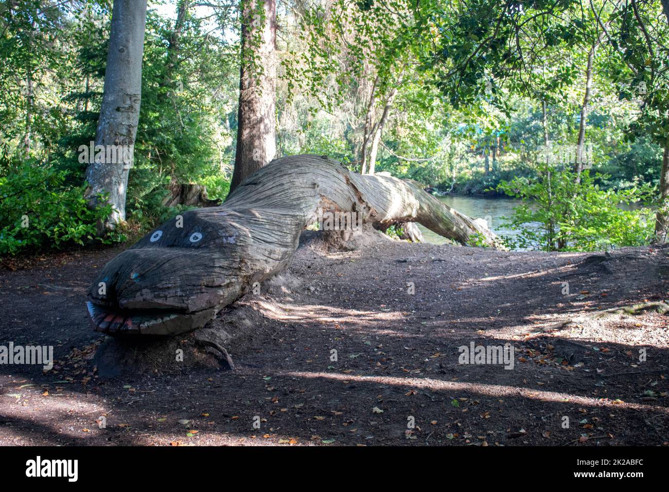 Fallen tree with face made to look like the Loch Ness Monster - Nessie ...