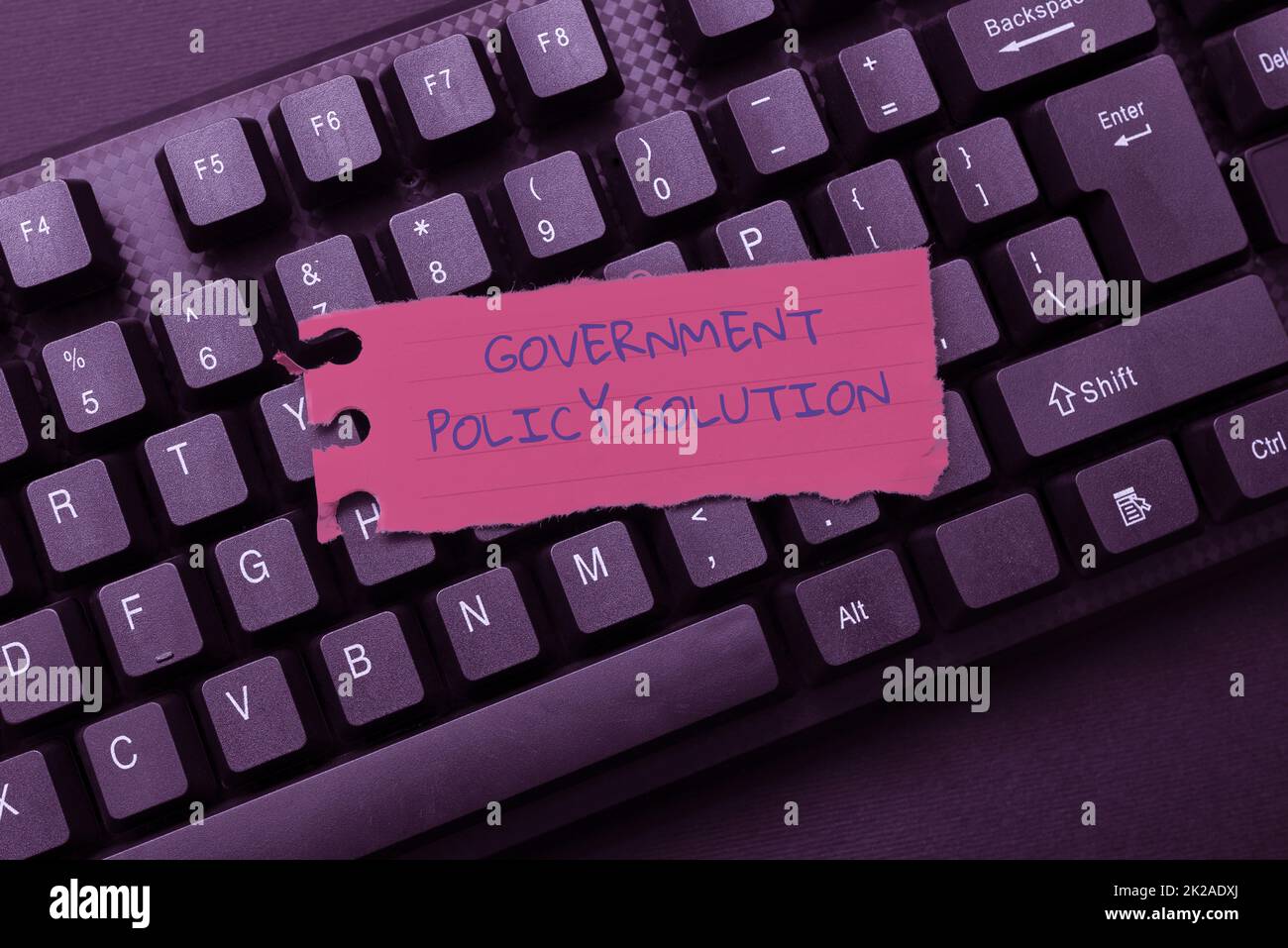 Text caption presenting Government Policy Solution. Business overview ...