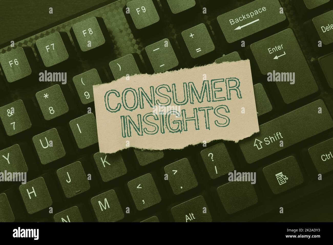 Inspiration showing sign Consumer Insights. Conceptual photo behavior ...