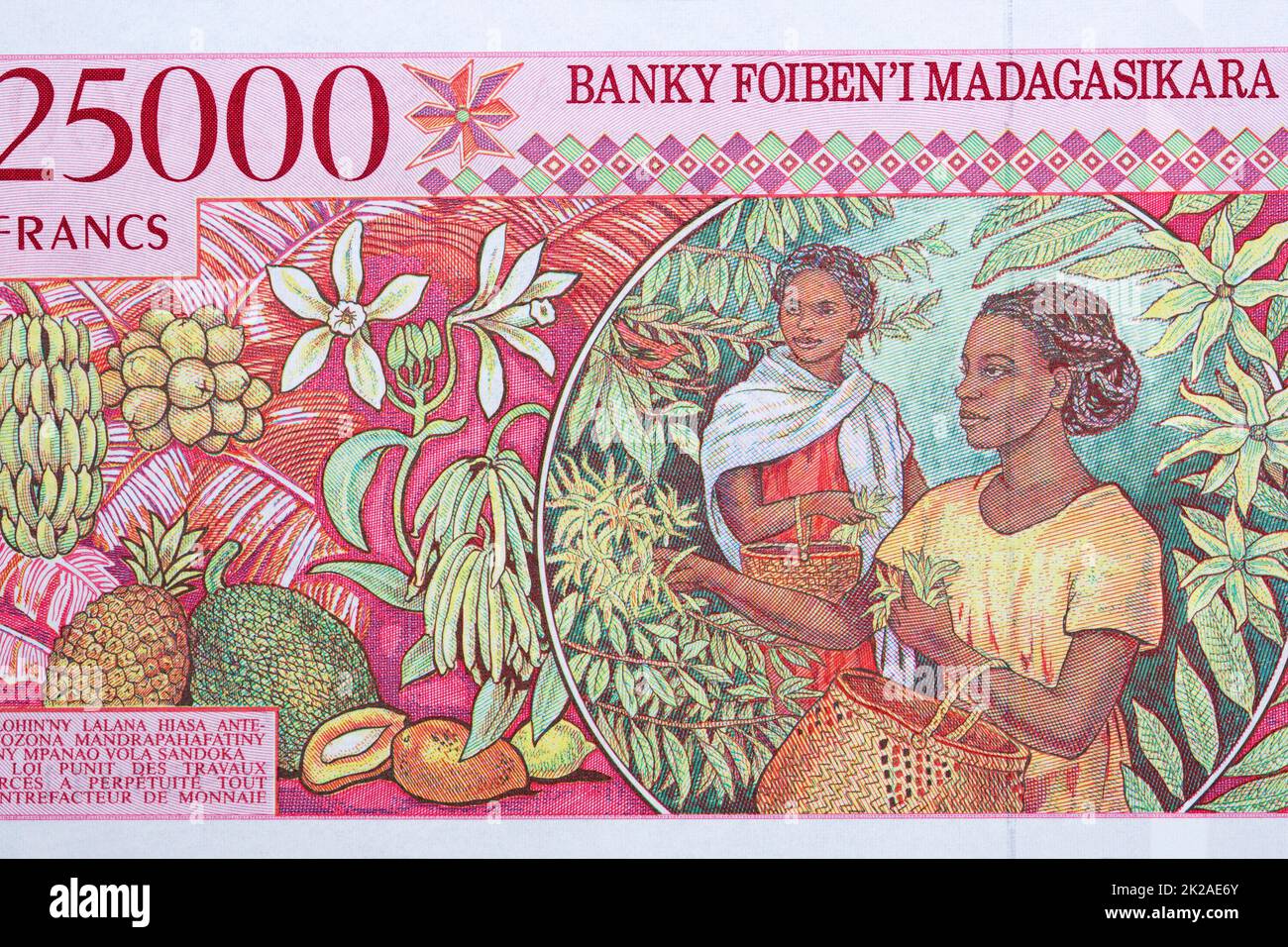 Woman harvesting from Malagasy money Stock Photo - Alamy