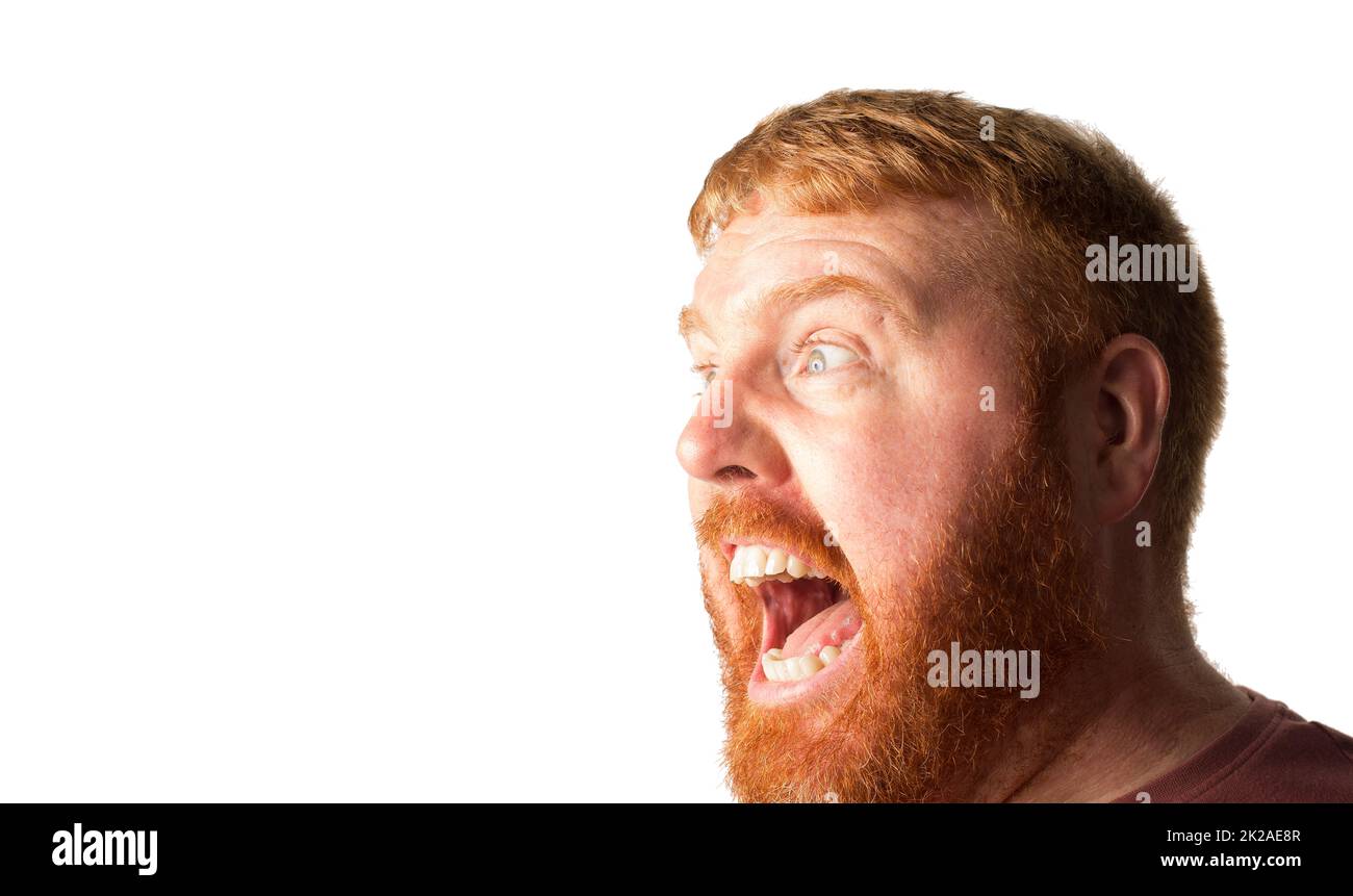 Male close up head shot of him with a shouting expression Stock Photo ...