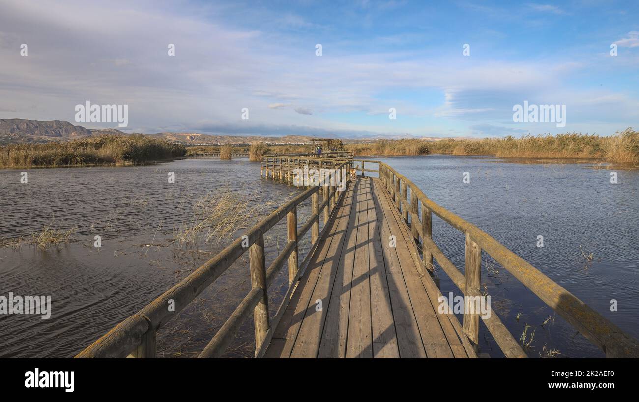 Travel Spain Nature birds wildlife Stock Photo - Alamy