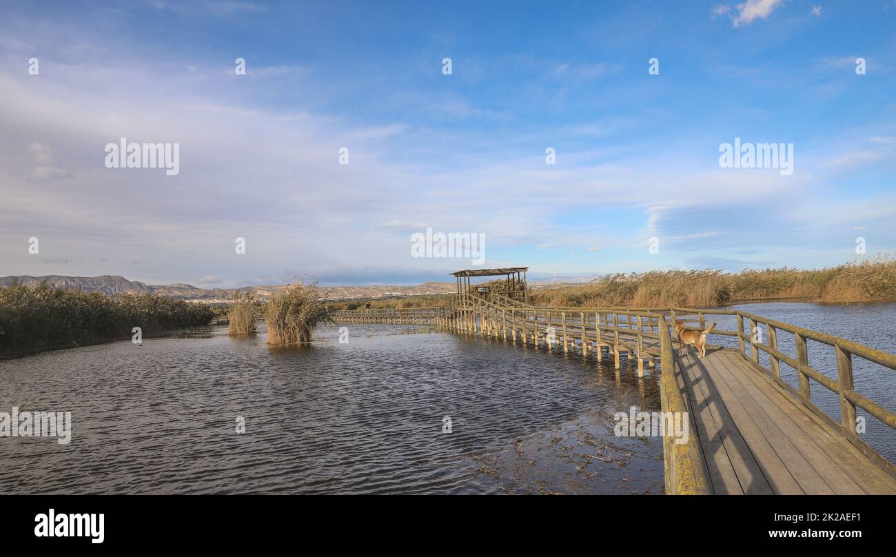 Travel Spain Nature birds wildlife Stock Photo - Alamy