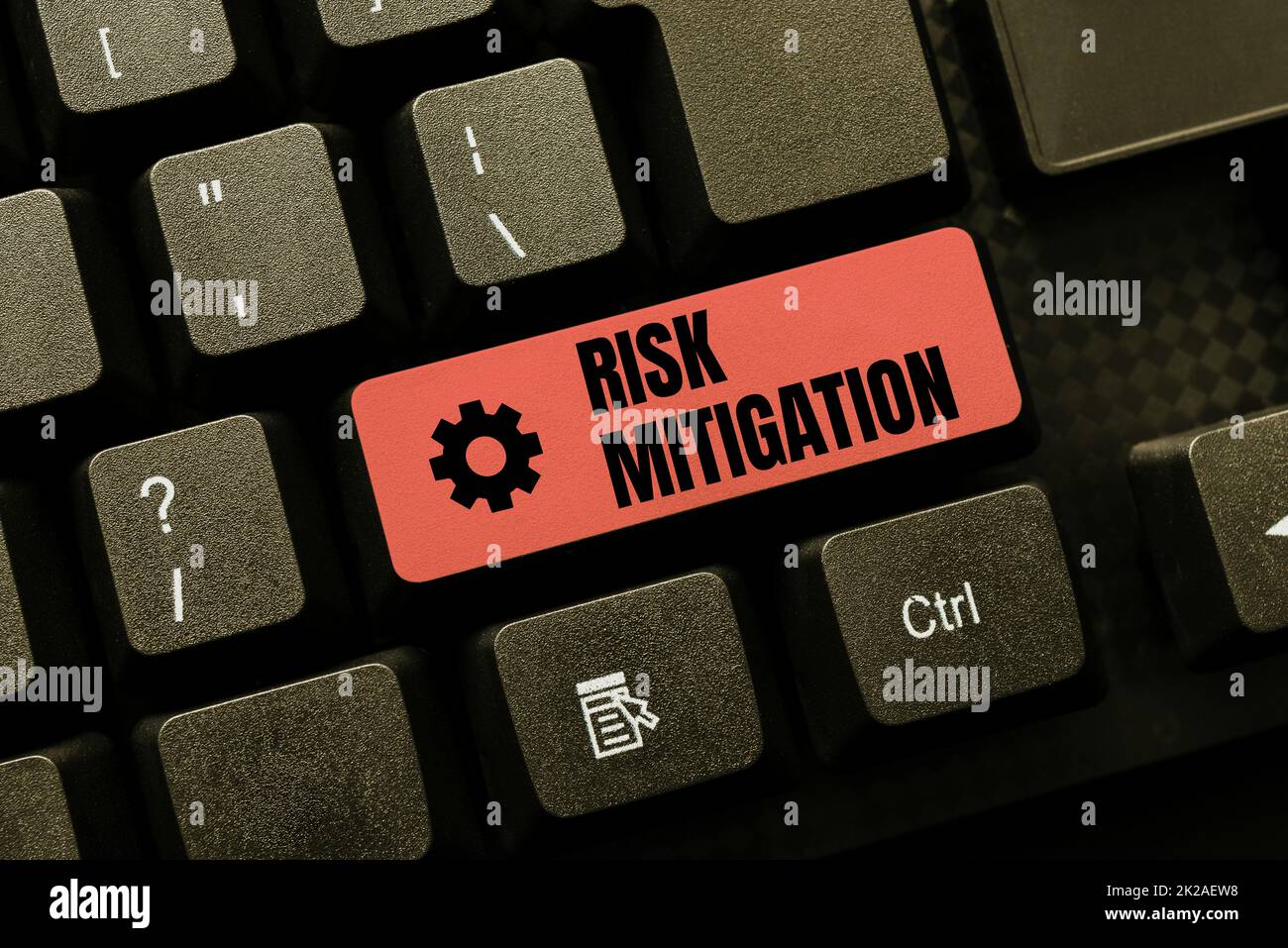 Text Caption Presenting Risk Mitigation Business Idea Strategy To