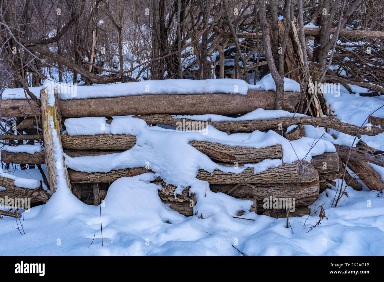 Woodpile with firewood harvested for the winter Stock Photo - Alamy