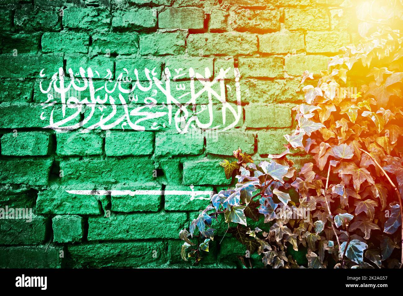 Saudi Arabia grunge flag on brick wall with ivy plant sun haze view ...