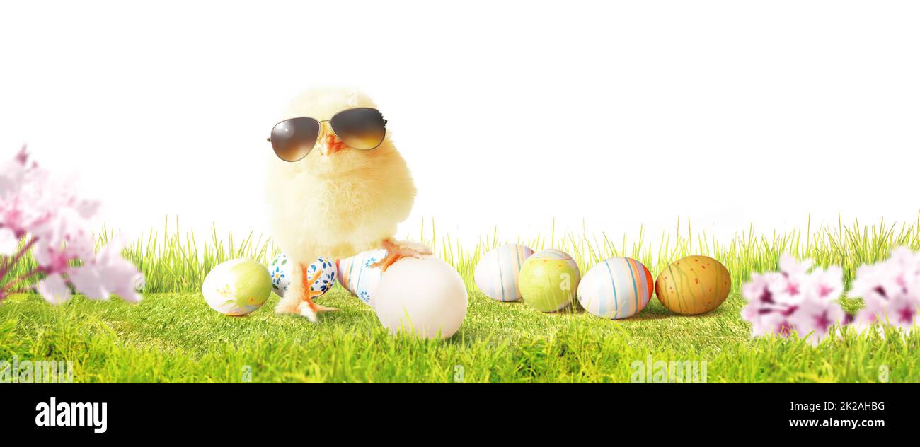 Little cute baby chick on green grass. Yellow newborn baby chick Stock ...