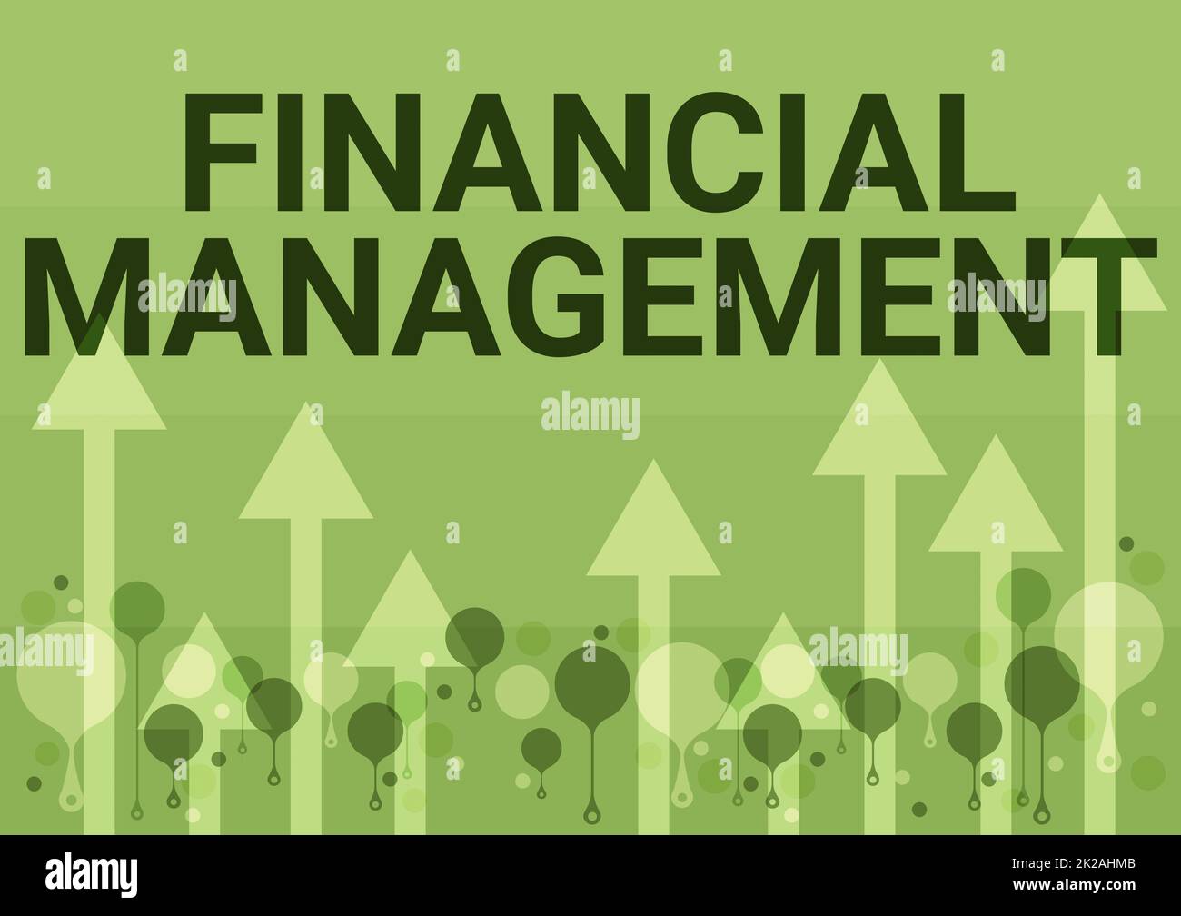 Conceptual display Financial Management, Word Written on organizing and ...
