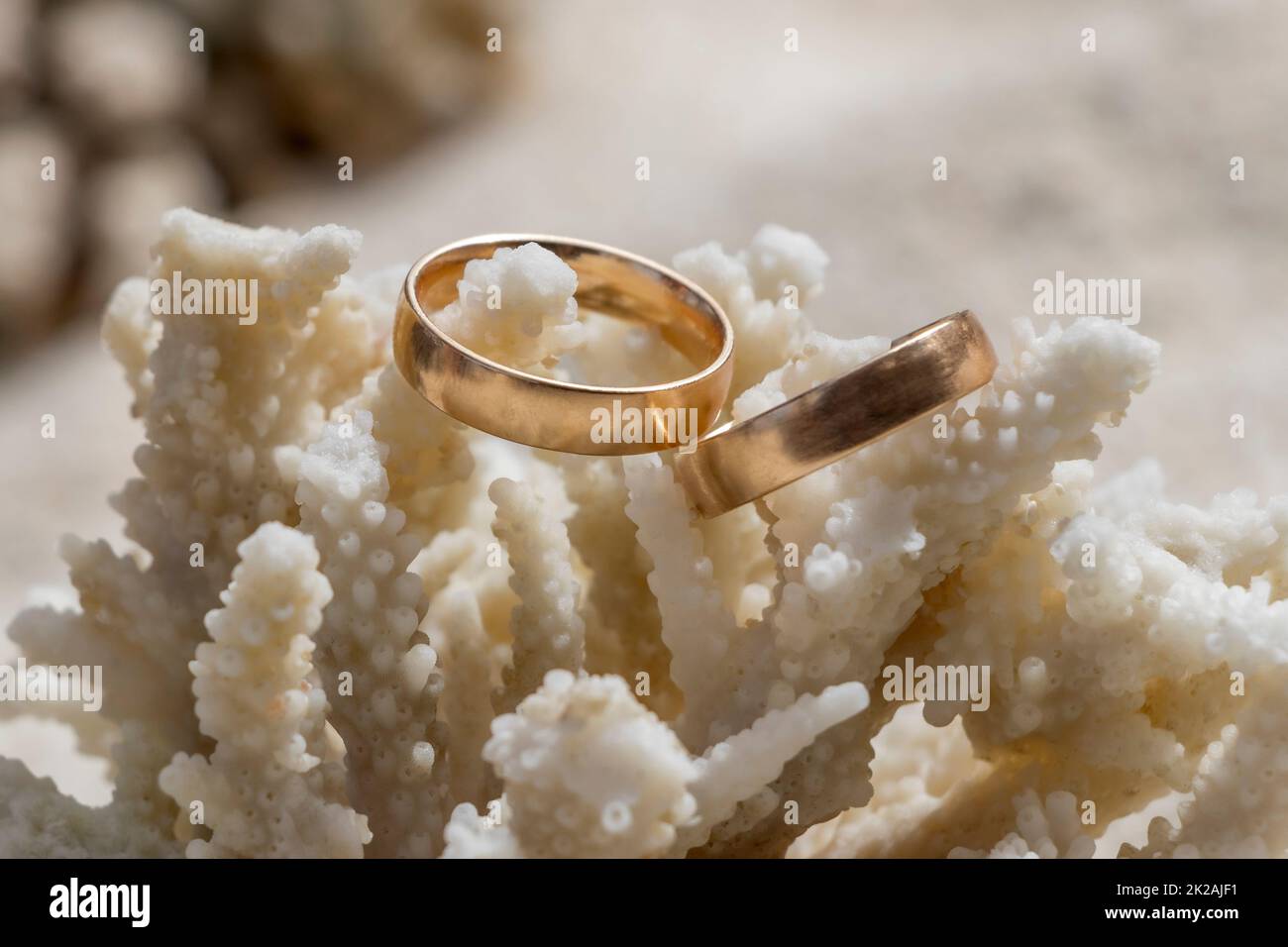 Wedding rings on coral on the beach. Honeymoon in Thailand Stock Photo ...