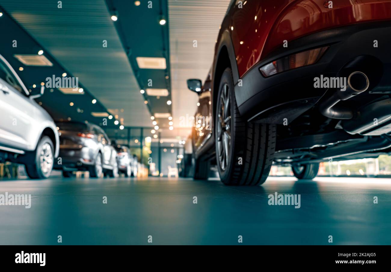 Rearview car parked in luxury showroom. Car dealership office. New car ...