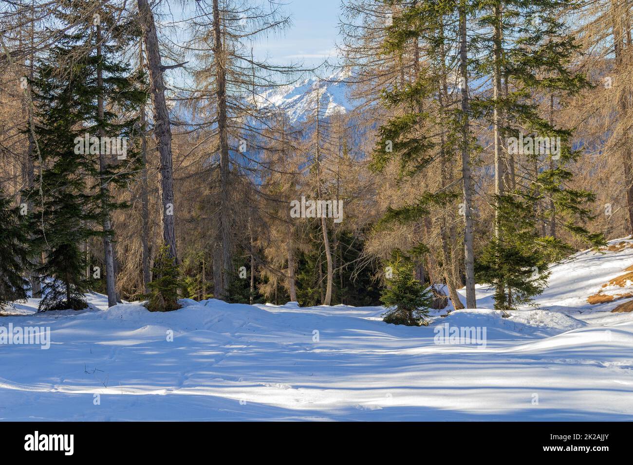 Around Felixer Weiher Stock Photo - Alamy
