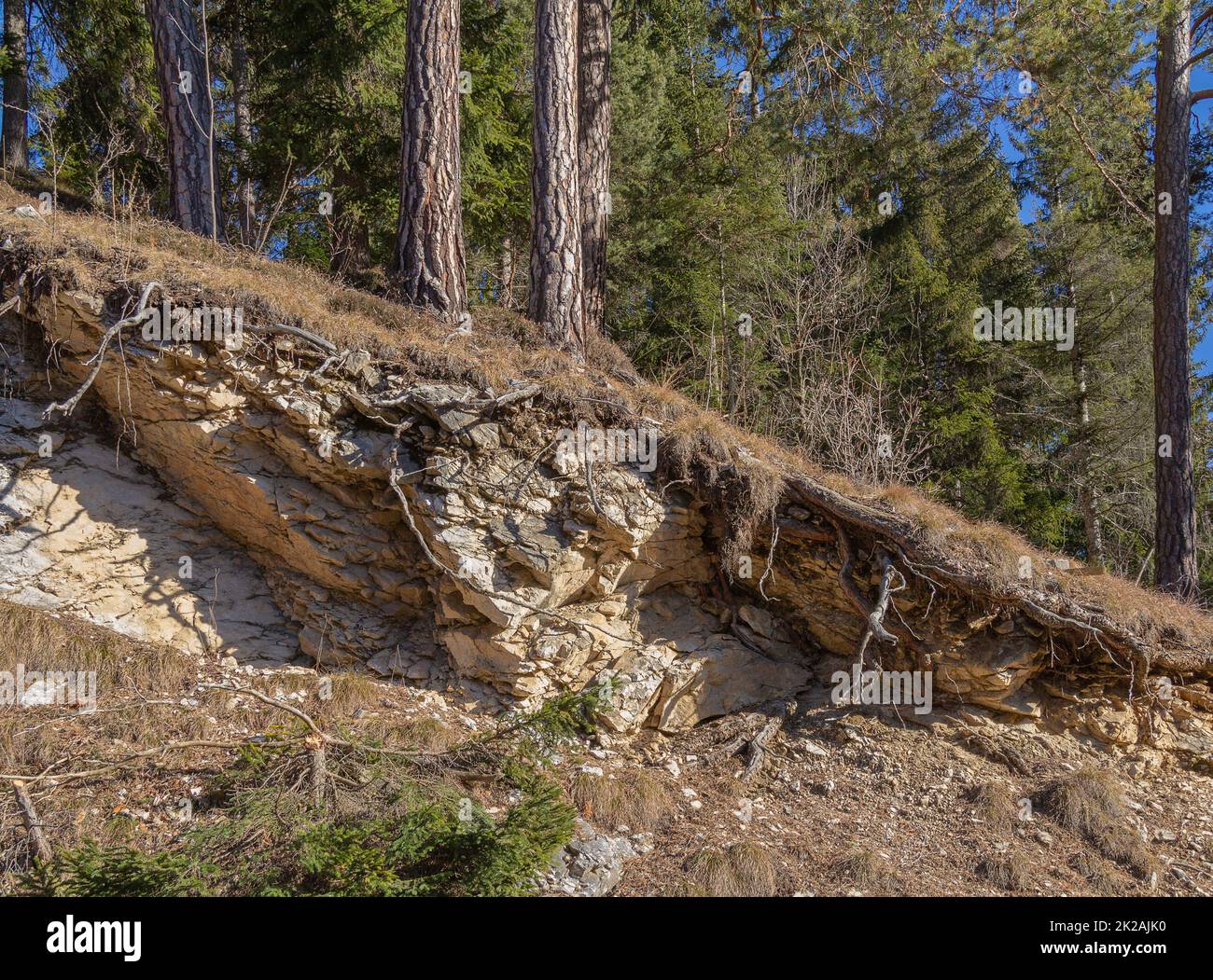 Landslide forest hi-res stock photography and images - Alamy