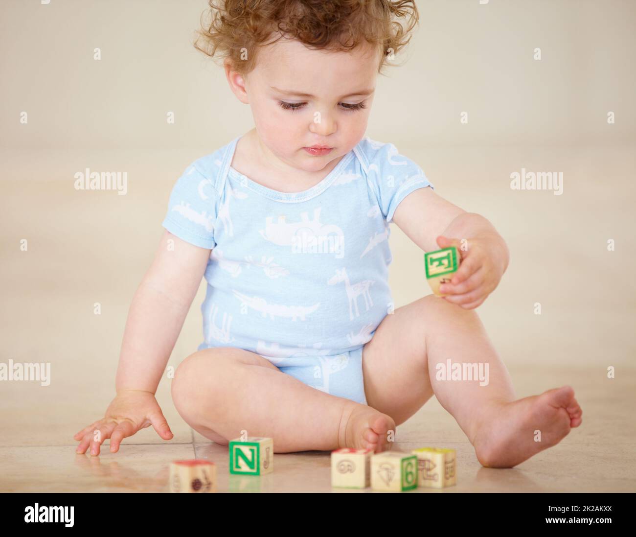 Building blocks to a bright future. Full length shot of a cute baby boy ...