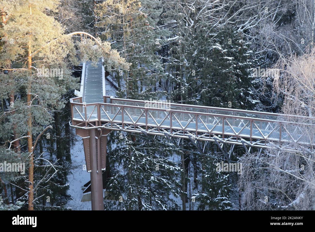 Metal footbridge over the stream, in winter snowy forest, beautiful ...