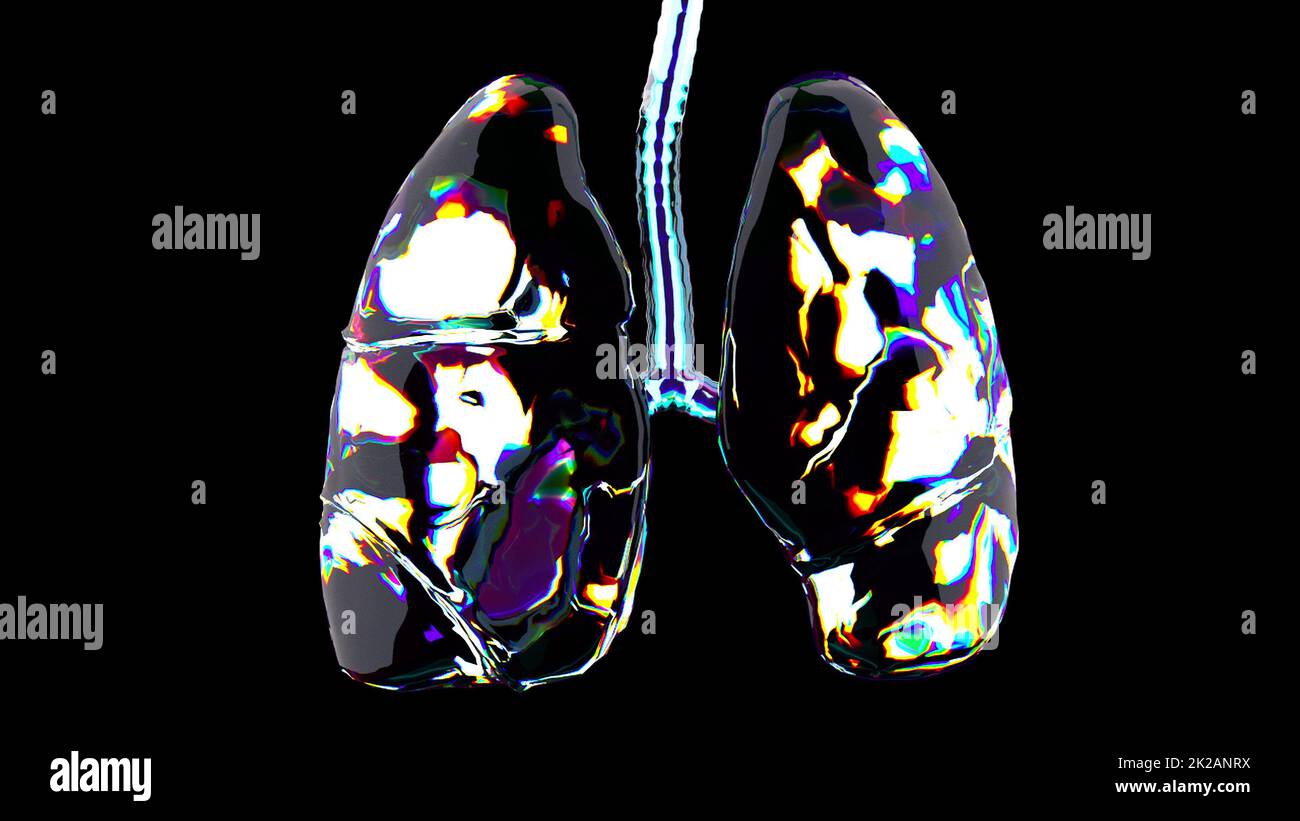 Glass human lungs Stock Photo - Alamy