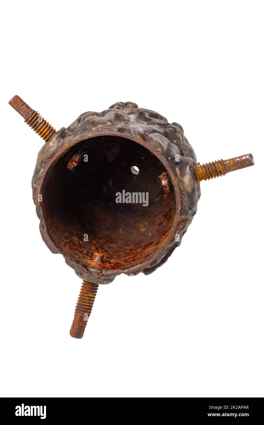 Night in pine tree Cut Out Stock Images & Pictures - Alamy