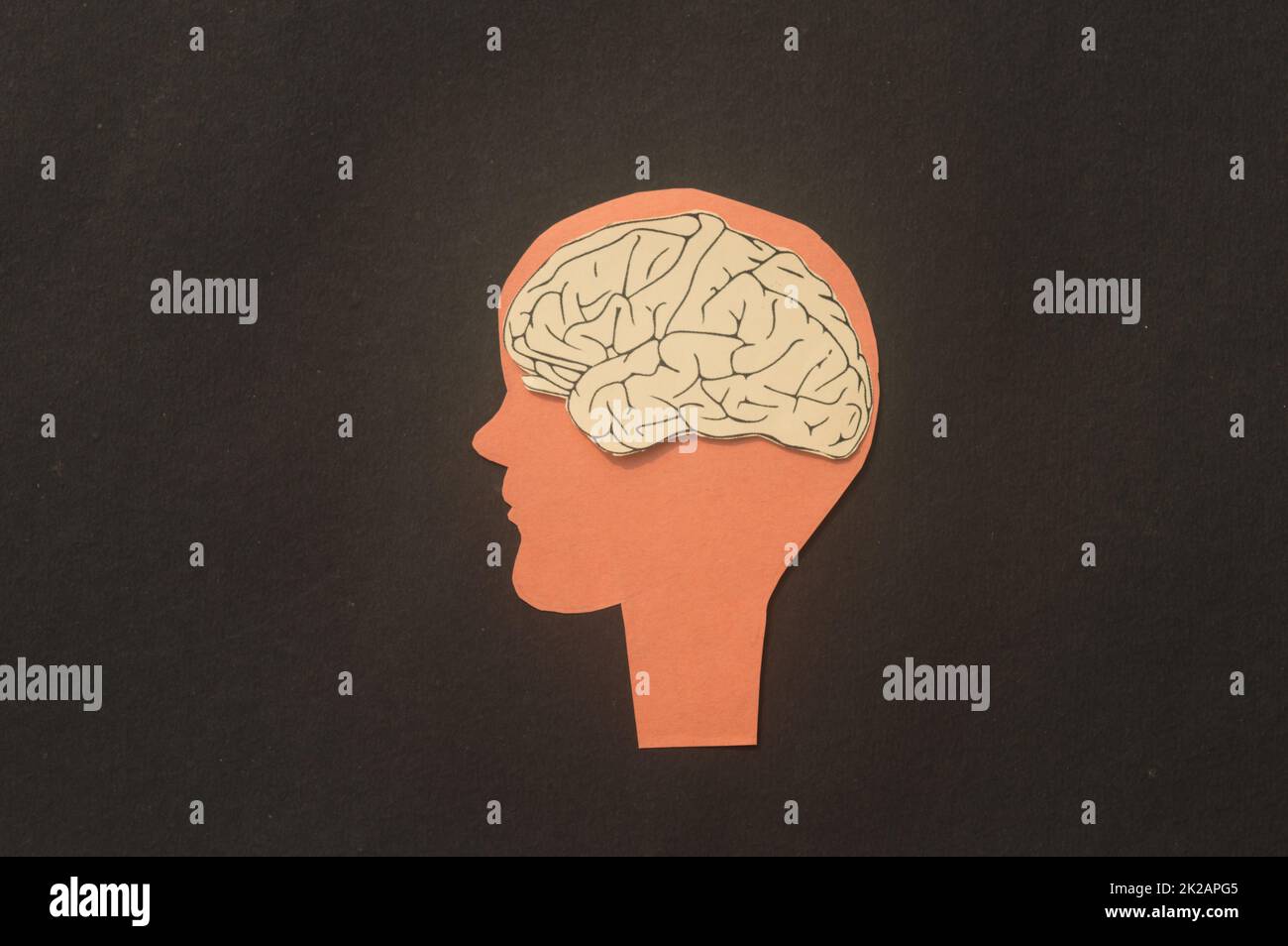 Paper Human brain in a silhouette head illustration. Thinking idea and ...