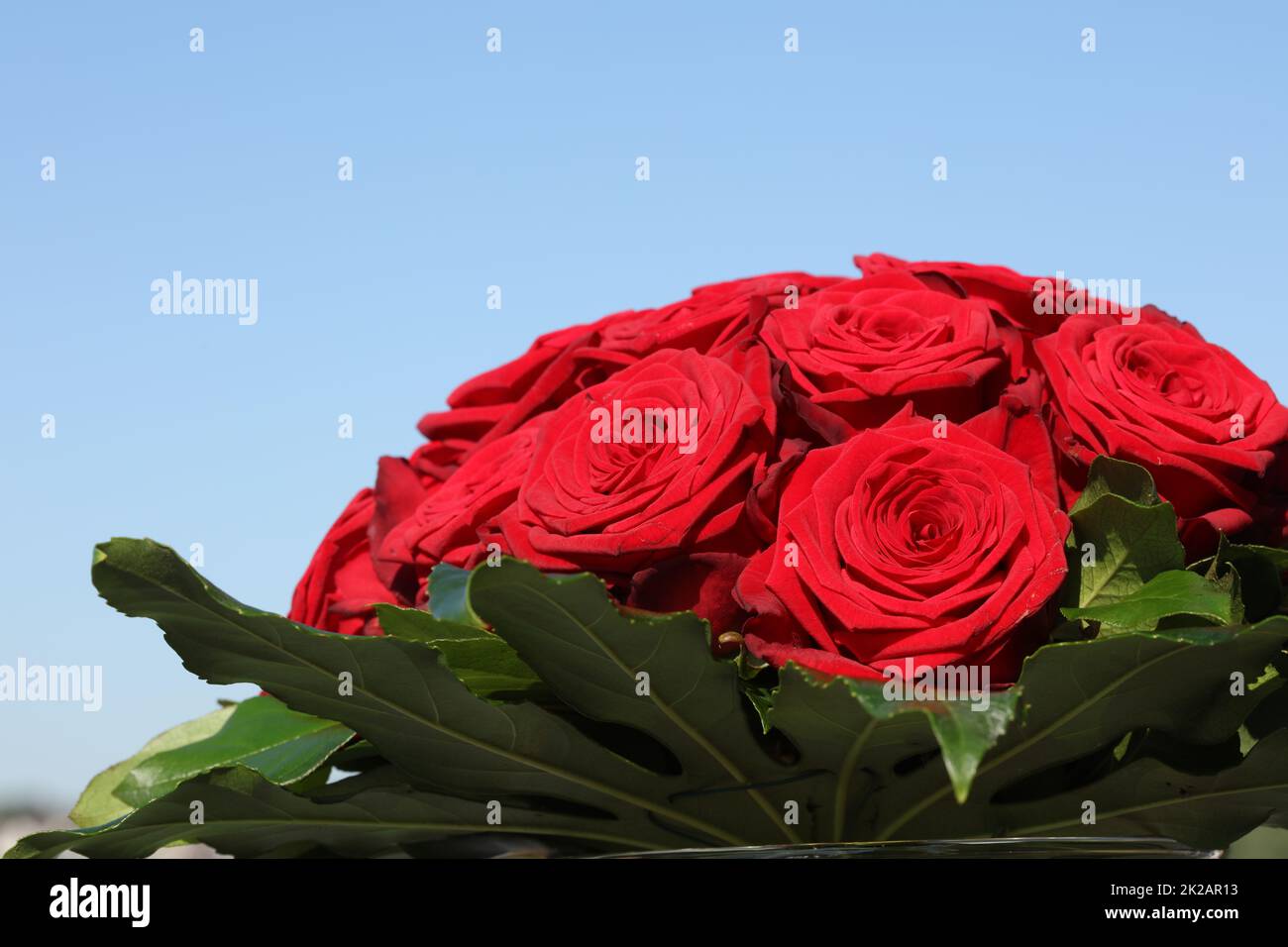 Bunch of red Roses Stock Photo - Alamy