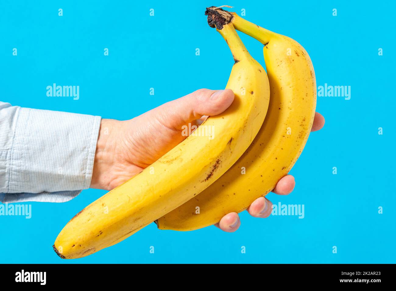 Hand holding couple of big bananas Stock Photo - Alamy