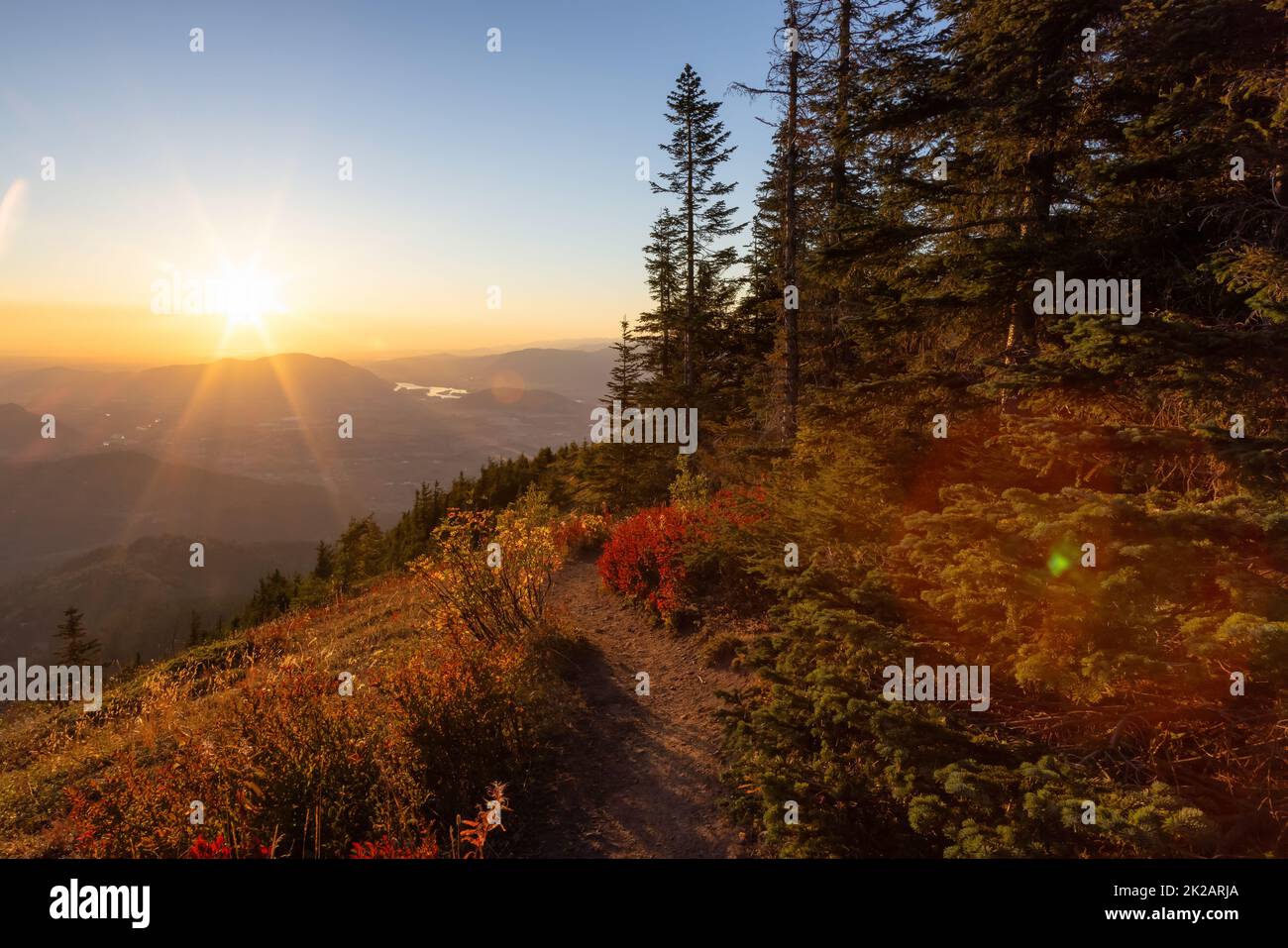 Canadian Landscape with Fall Colors during sunny sunset. Elk Mountain ...