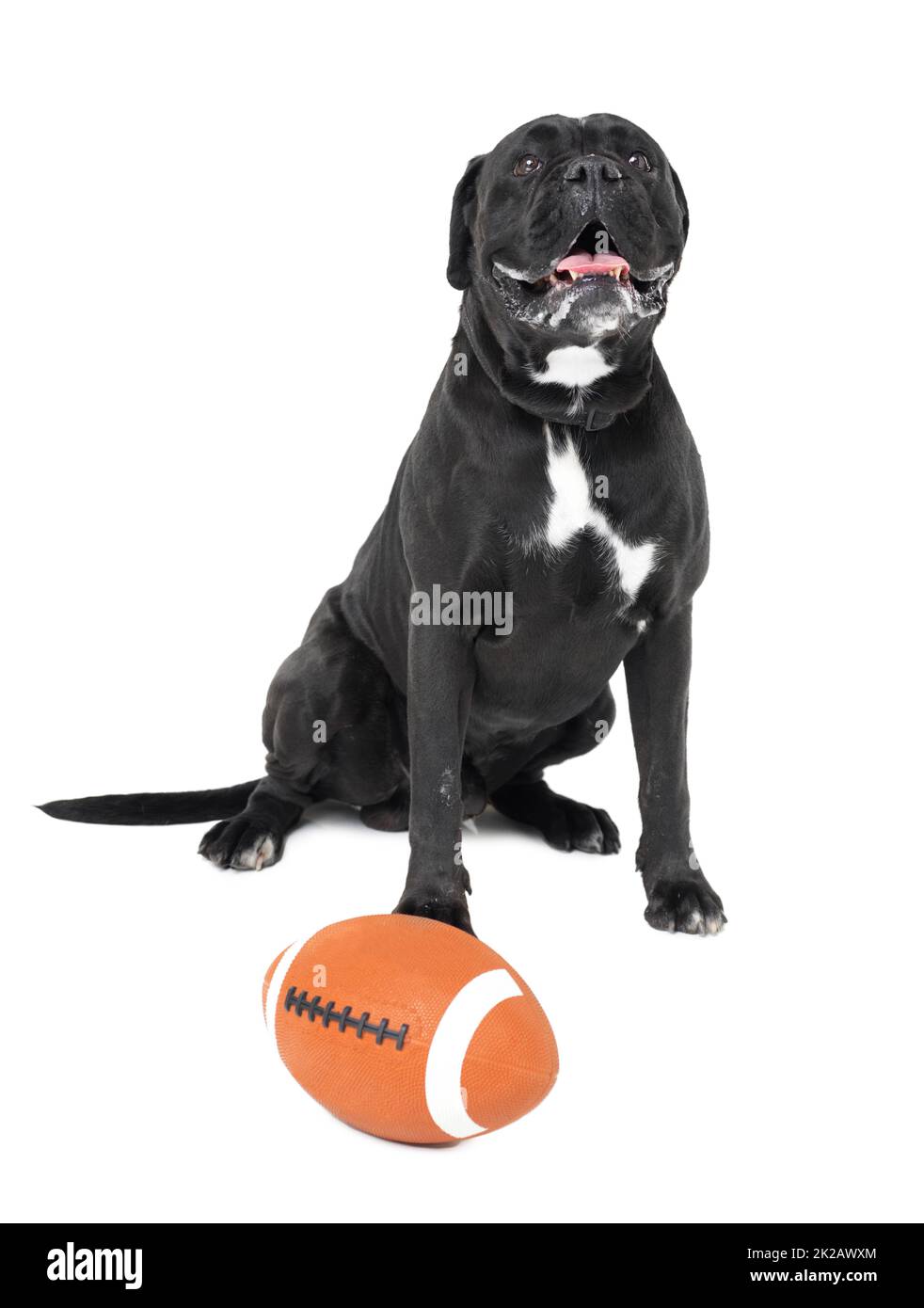 Football shot funny hi-res stock photography and images - Alamy