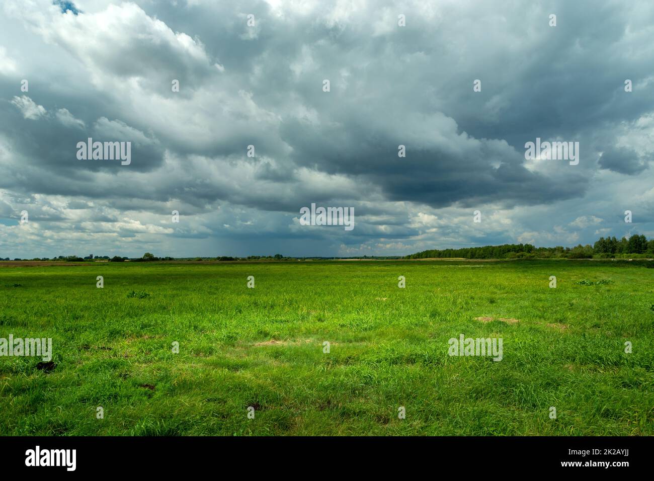 Cloud with rain on the horizon and green meadow Stock Photo - Alamy