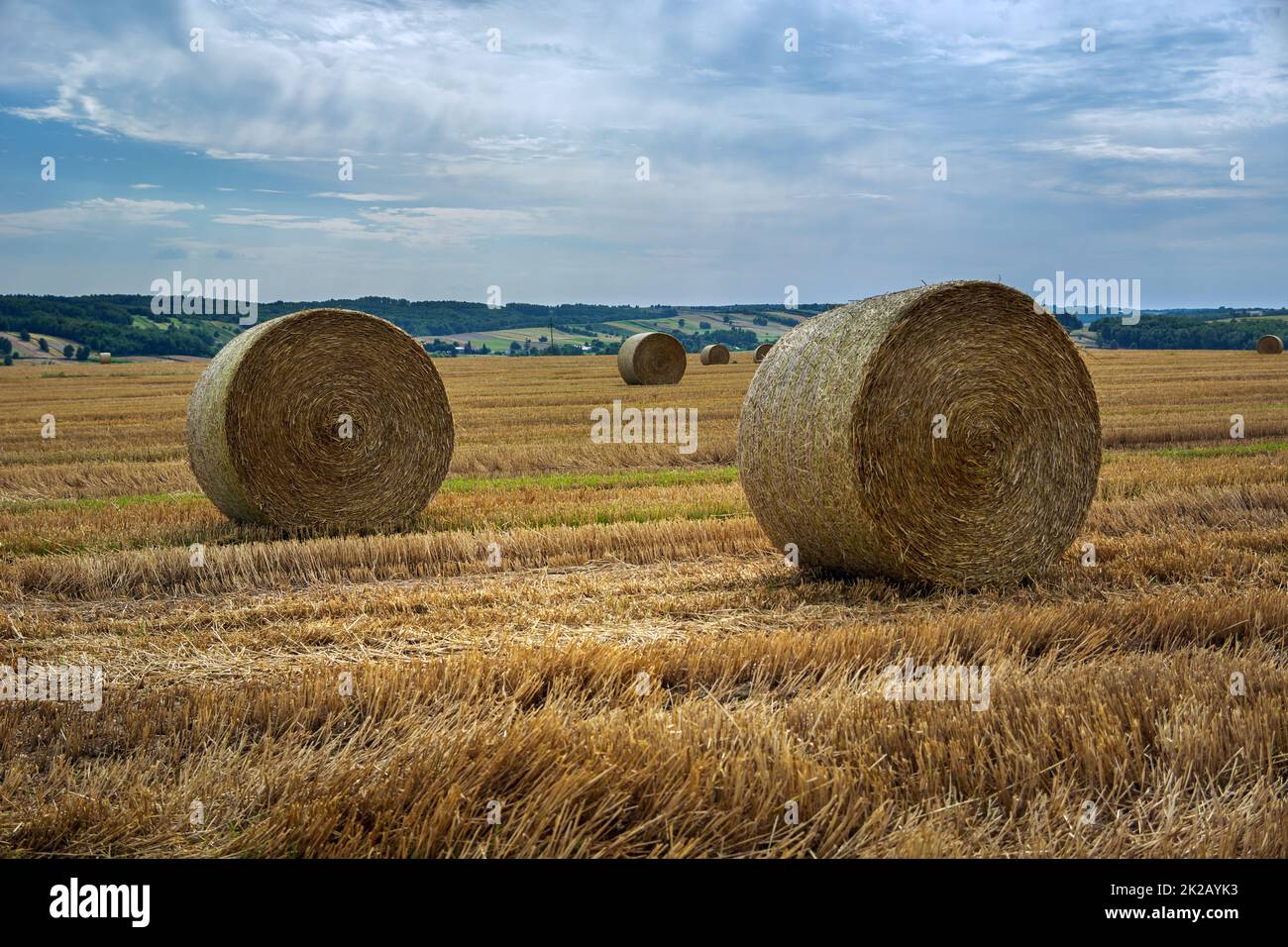 Our huge grain crop hi-res stock photography and images - Alamy