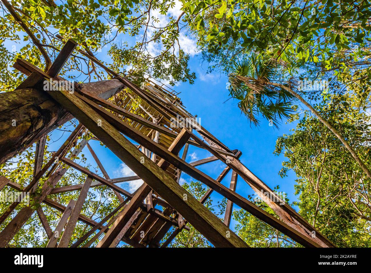Wooden viewpoint tower tropical jungle to Muyil Lagoon panorama Mexico ...