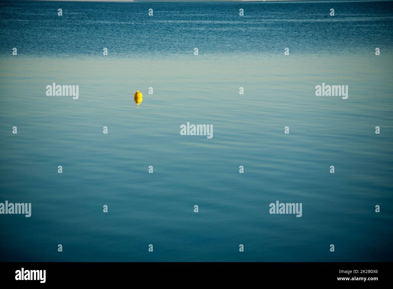Yellow boa surrounded by blue sea Stock Photo - Alamy
