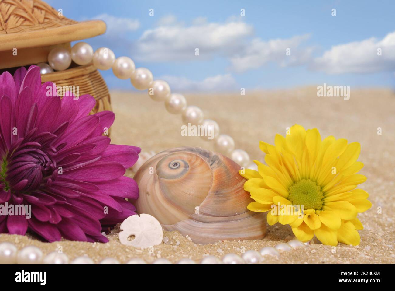 Flowers and Sea Shells on Sandy Beach, Shallow DOF Stock Photo - Alamy
