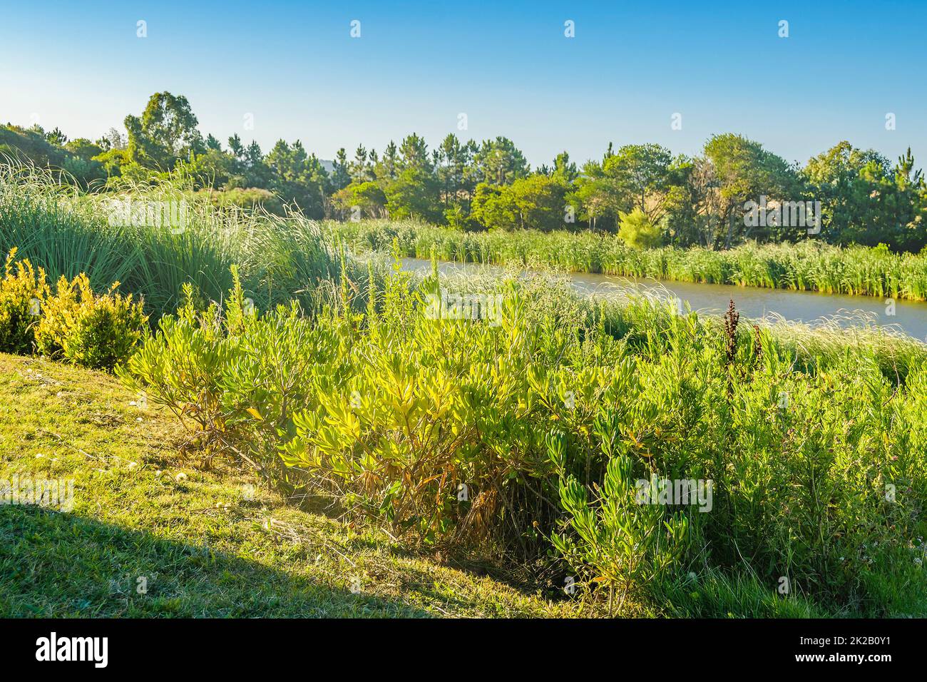 Filedscape hi-res stock photography and images - Alamy