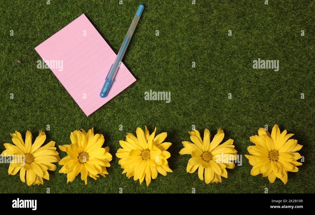 Blank Note paper on Green Grass Background With Colorful Flowers Stock ...