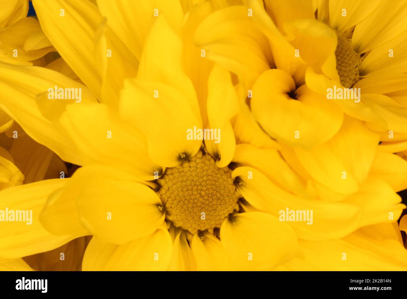 Very bright lighting hi-res stock photography and images - Alamy