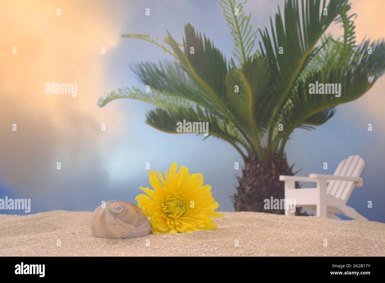 Flowers with Sea Shells on Sandy Beach With Chair and Palm Tree in ...