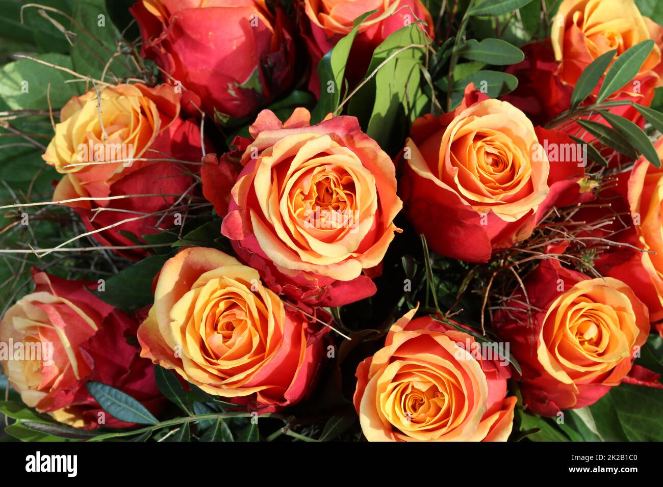 Bouquet of wonderful red Roses Stock Photo - Alamy