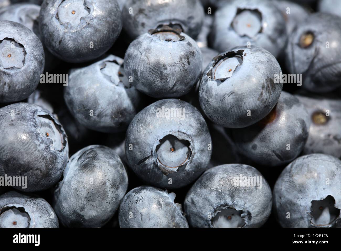 Fresh organic Blueberries Stock Photo - Alamy