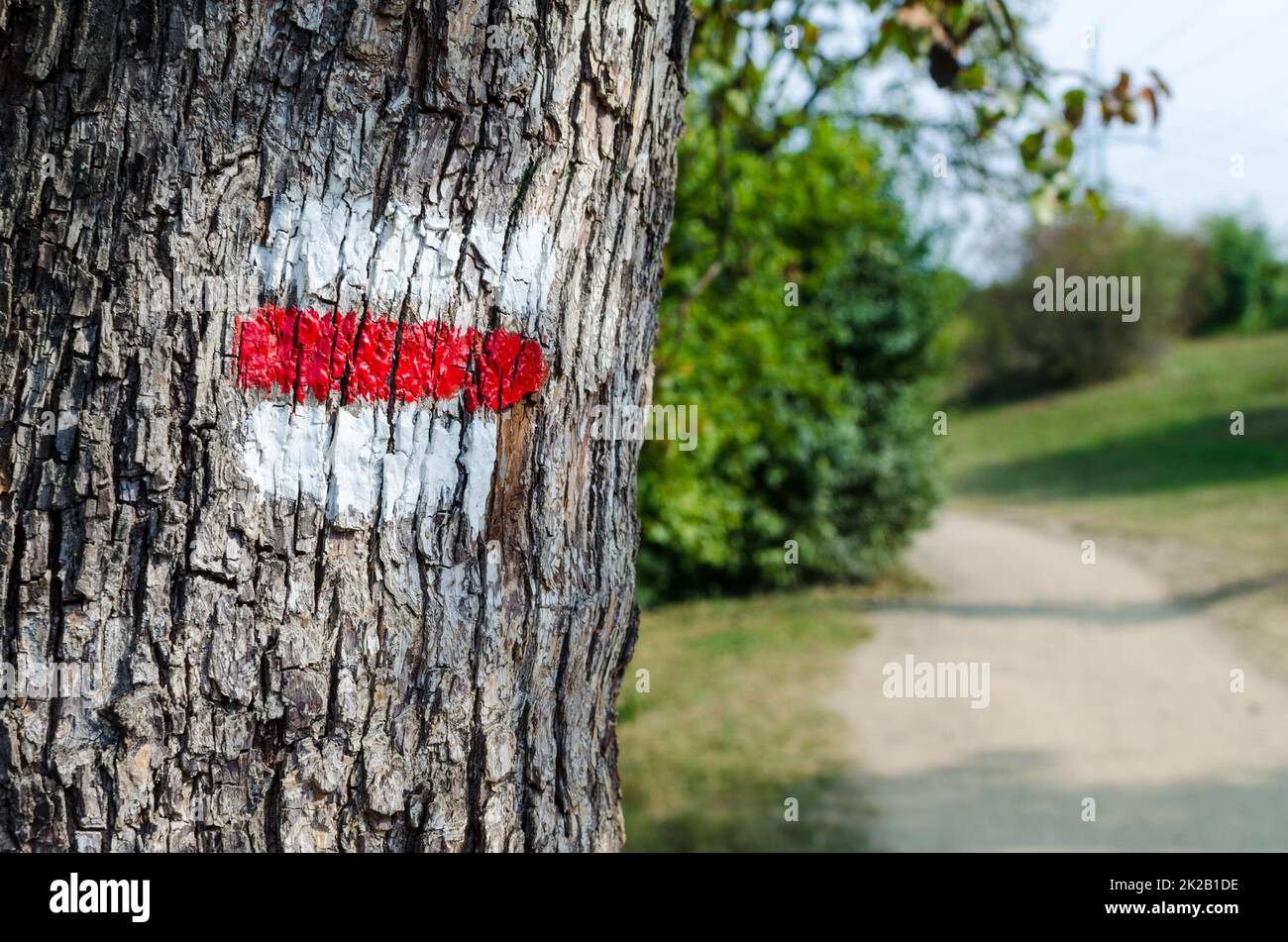 Red tourist sign on tree. Marking on hiking trails Stock Photo - Alamy