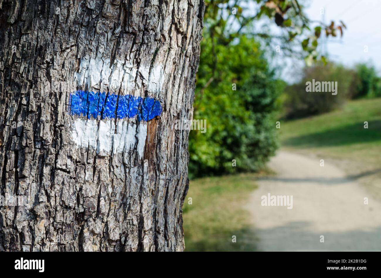 Blue sign on a tree. Marking on hiking trails Stock Photo - Alamy
