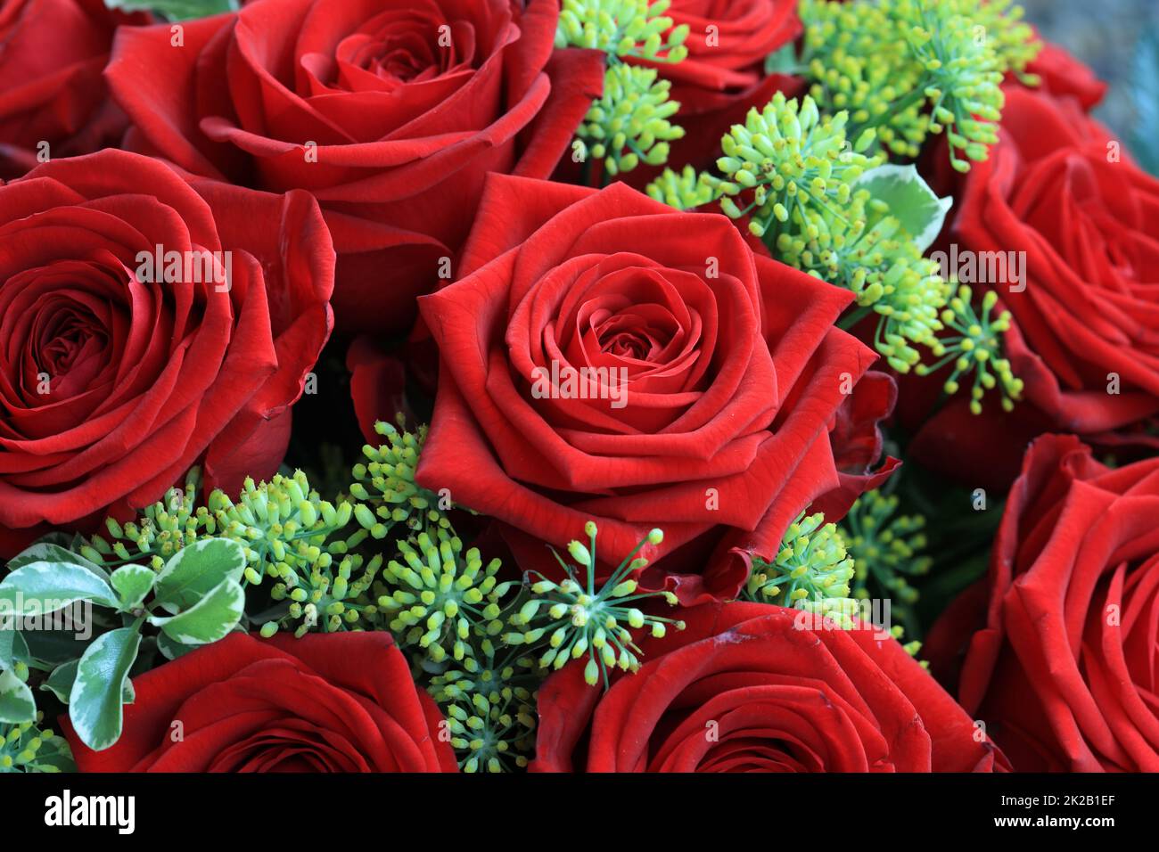 Bunch red roses bouquet hi-res stock photography and images - Alamy