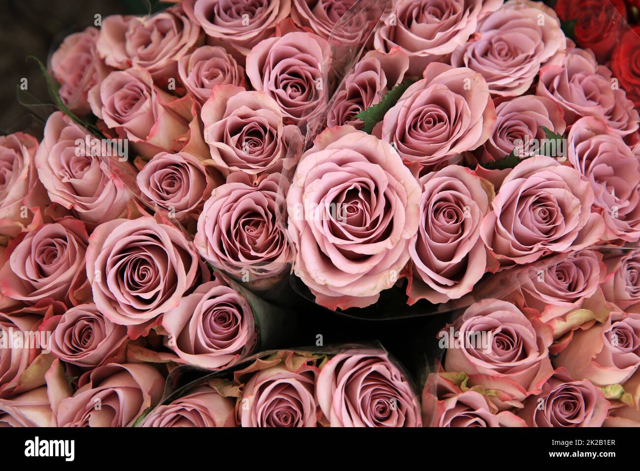 Long bouquet hi-res stock photography and images - Alamy